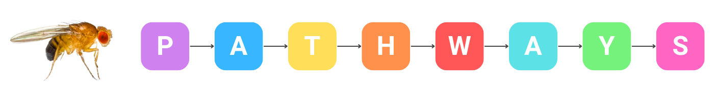 Pathways Project | Genomics Education Partnership