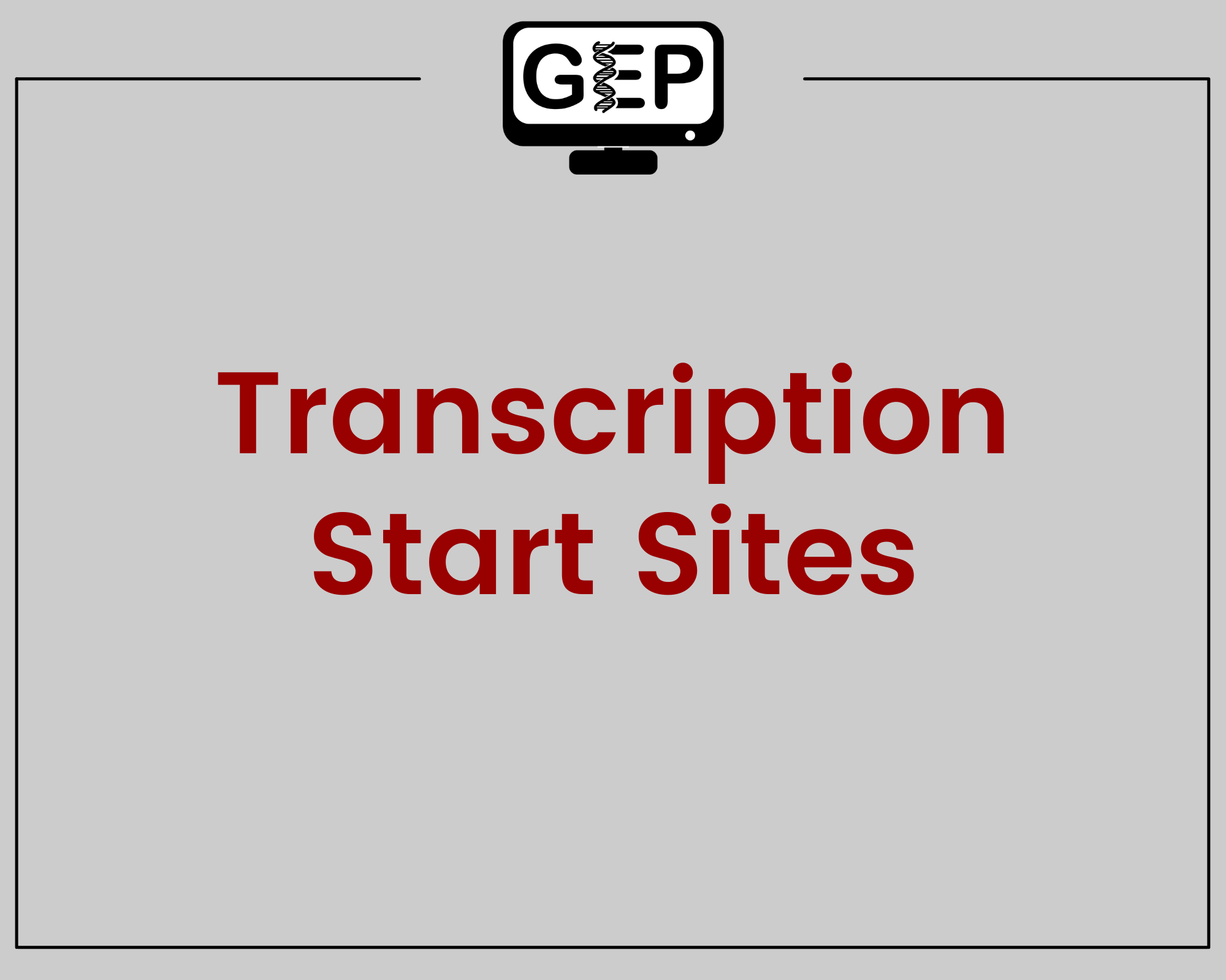 Transcription Start Sites | Genomics Education Partnership